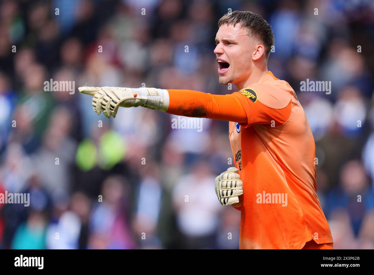 Brighton goalkeeper bart verbruggen hi-res stock photography and images - Alamy
