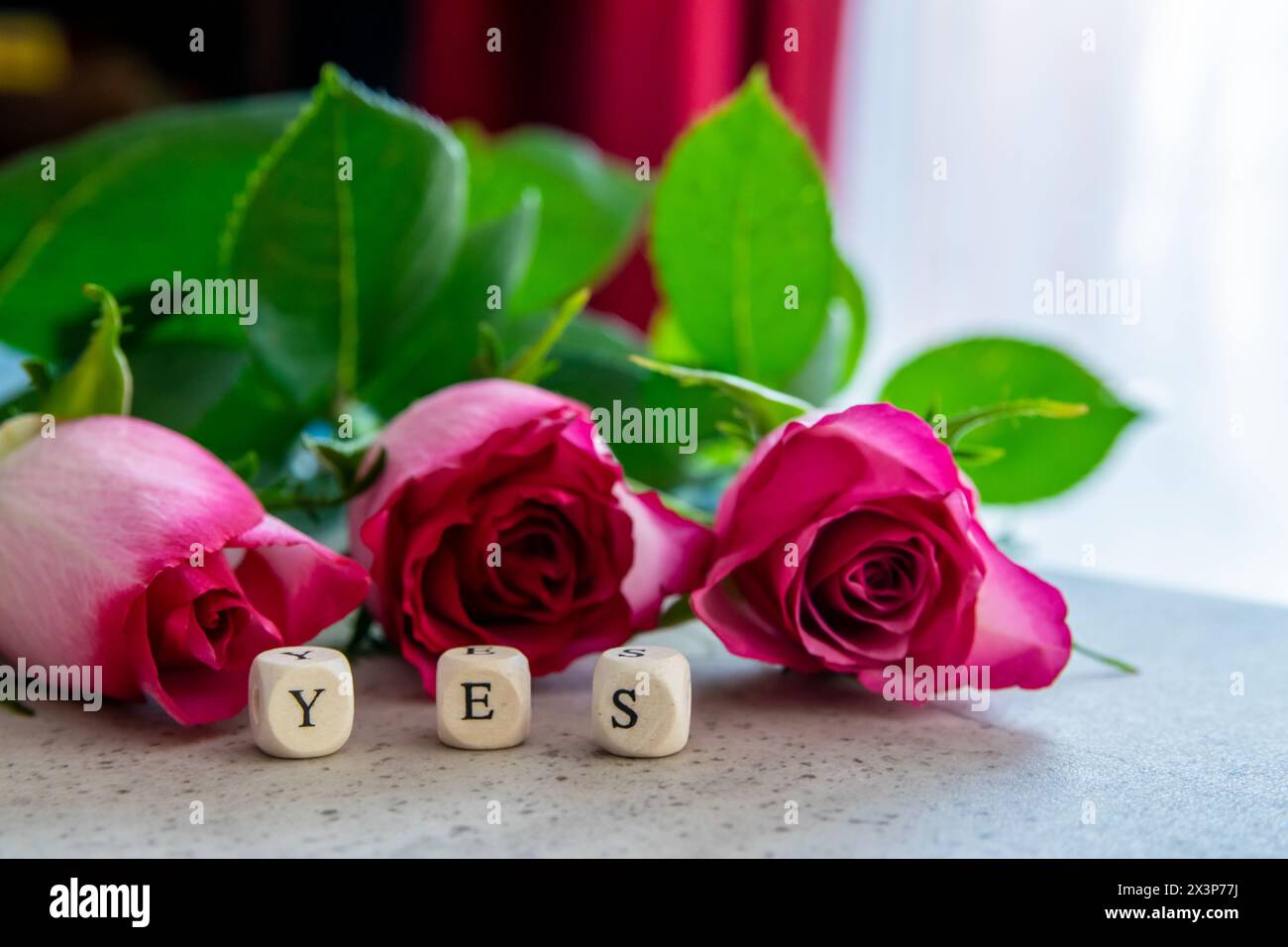 Yes exclamation word with pink roses flowers on the stone table Stock ...