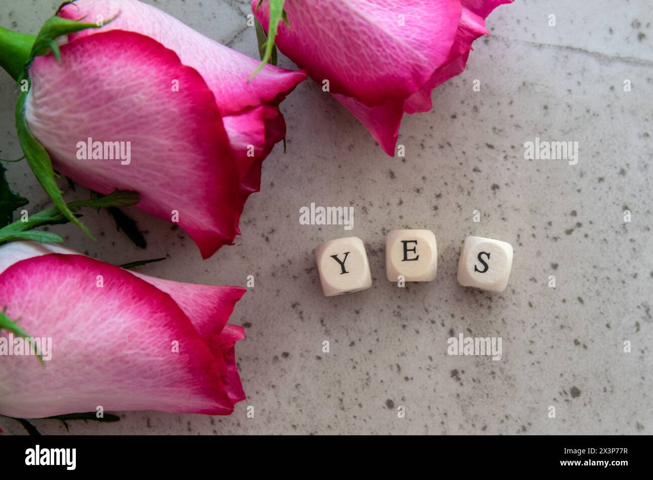 Yes exclamation word on the stone table background with pink flowers ...