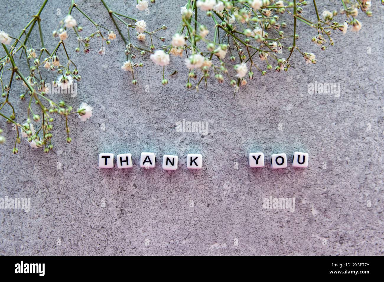 Thank you exclamation word on the stone background Stock Photo - Alamy