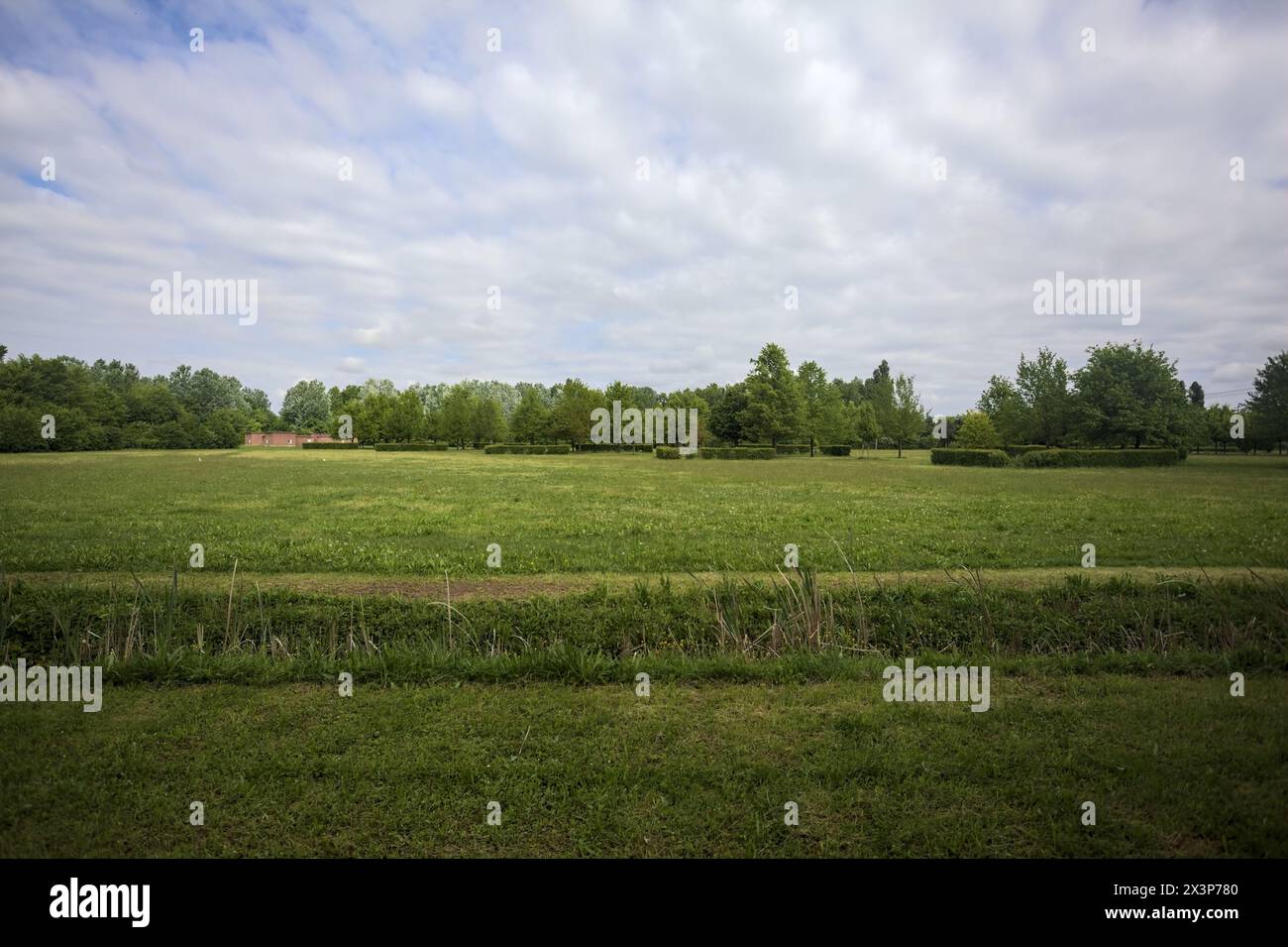Clearing in a park with shadows of trees casted on the ground seen from ...