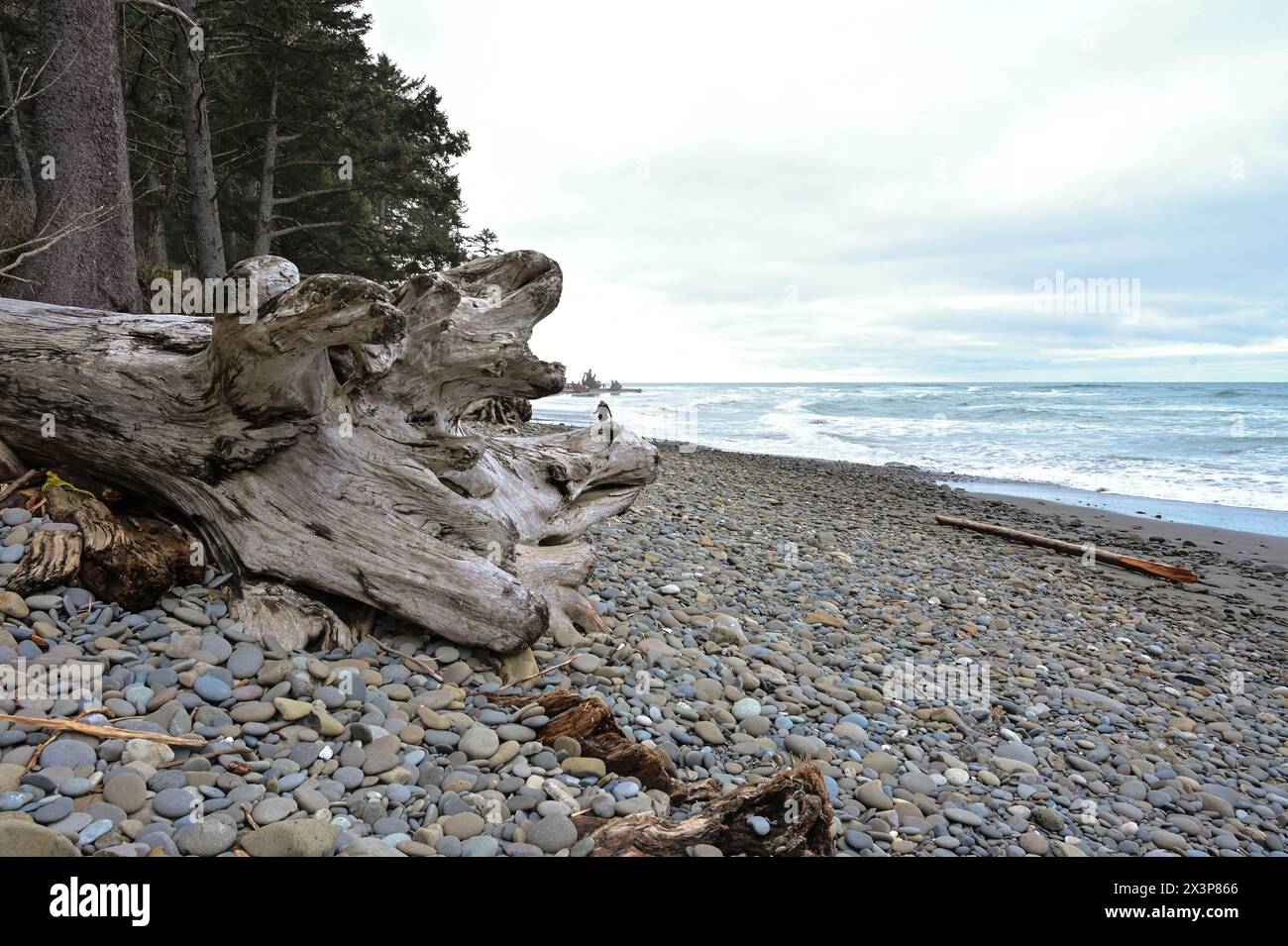 Driftwood, rock beach, waves and a person walking in the distance at ...
