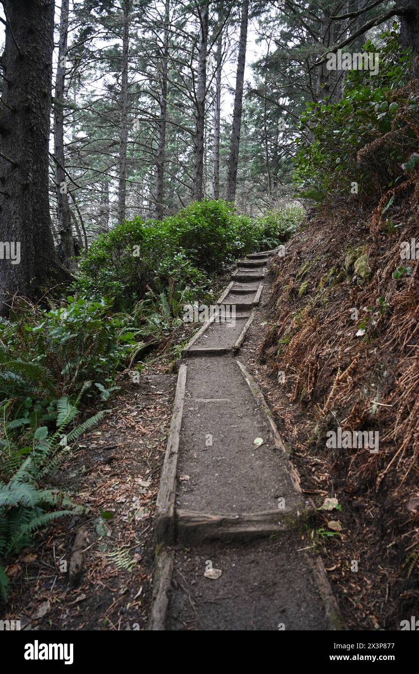 Stairs leading upwards on the trail to Second Beach in the Olympic ...