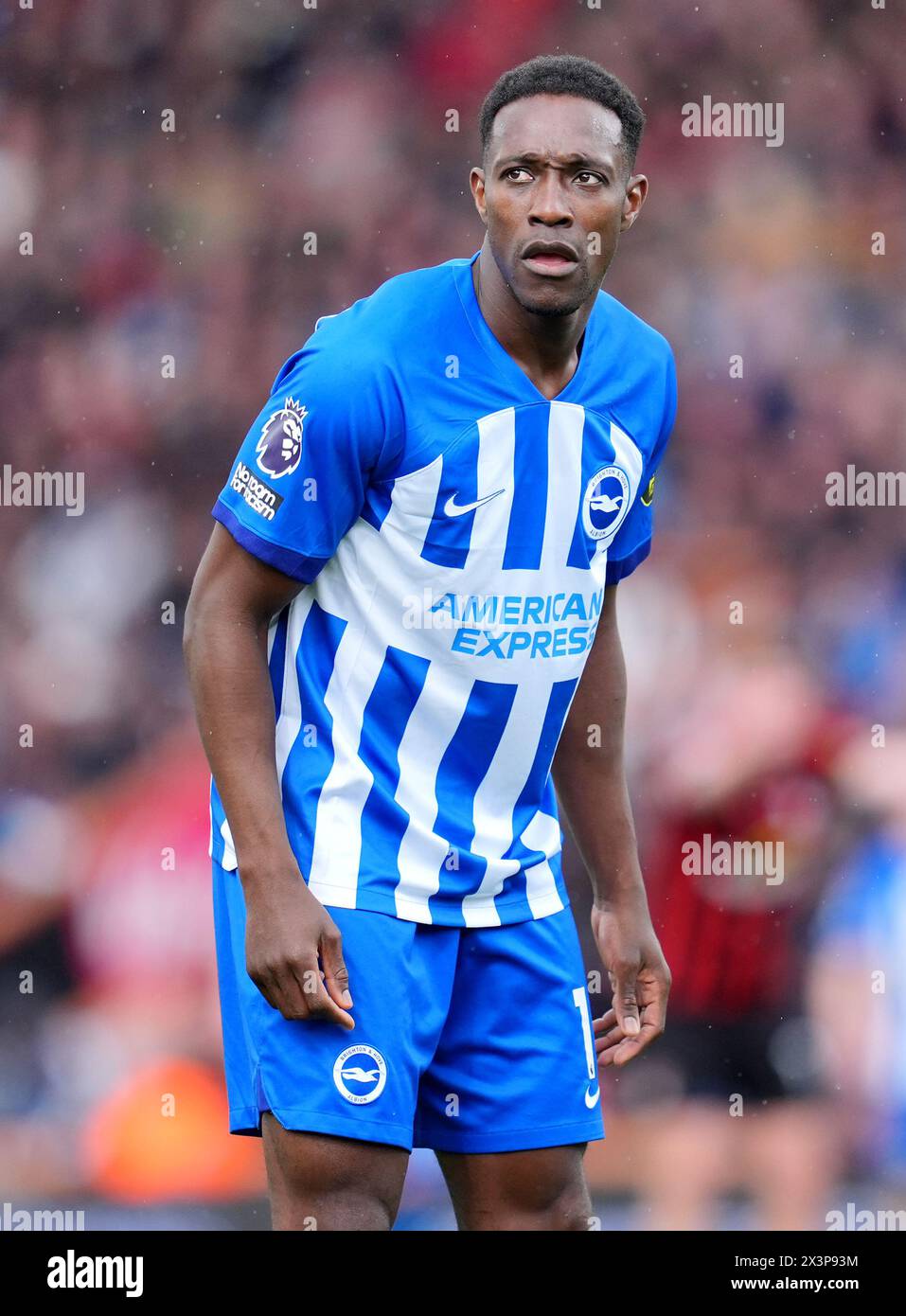 Brighton and Hove Albion's Danny Welbeck during the Premier League ...