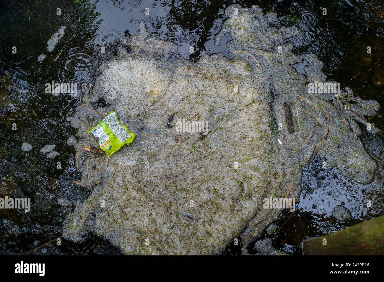 Debris floats on rain hi-res stock photography and images - Alamy