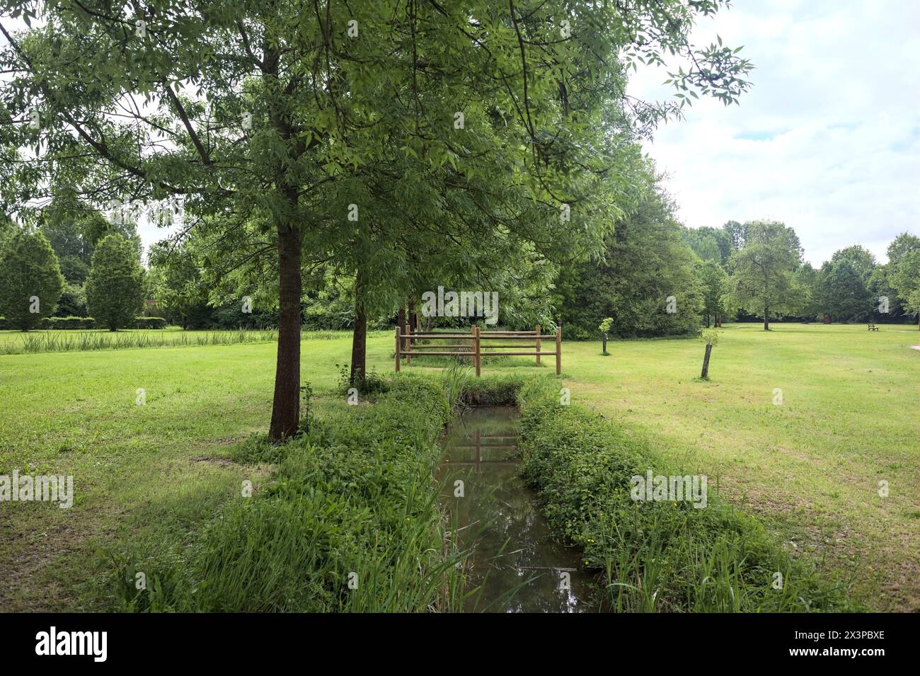 Trench with water bordered by trees between lawns in a park in the ...