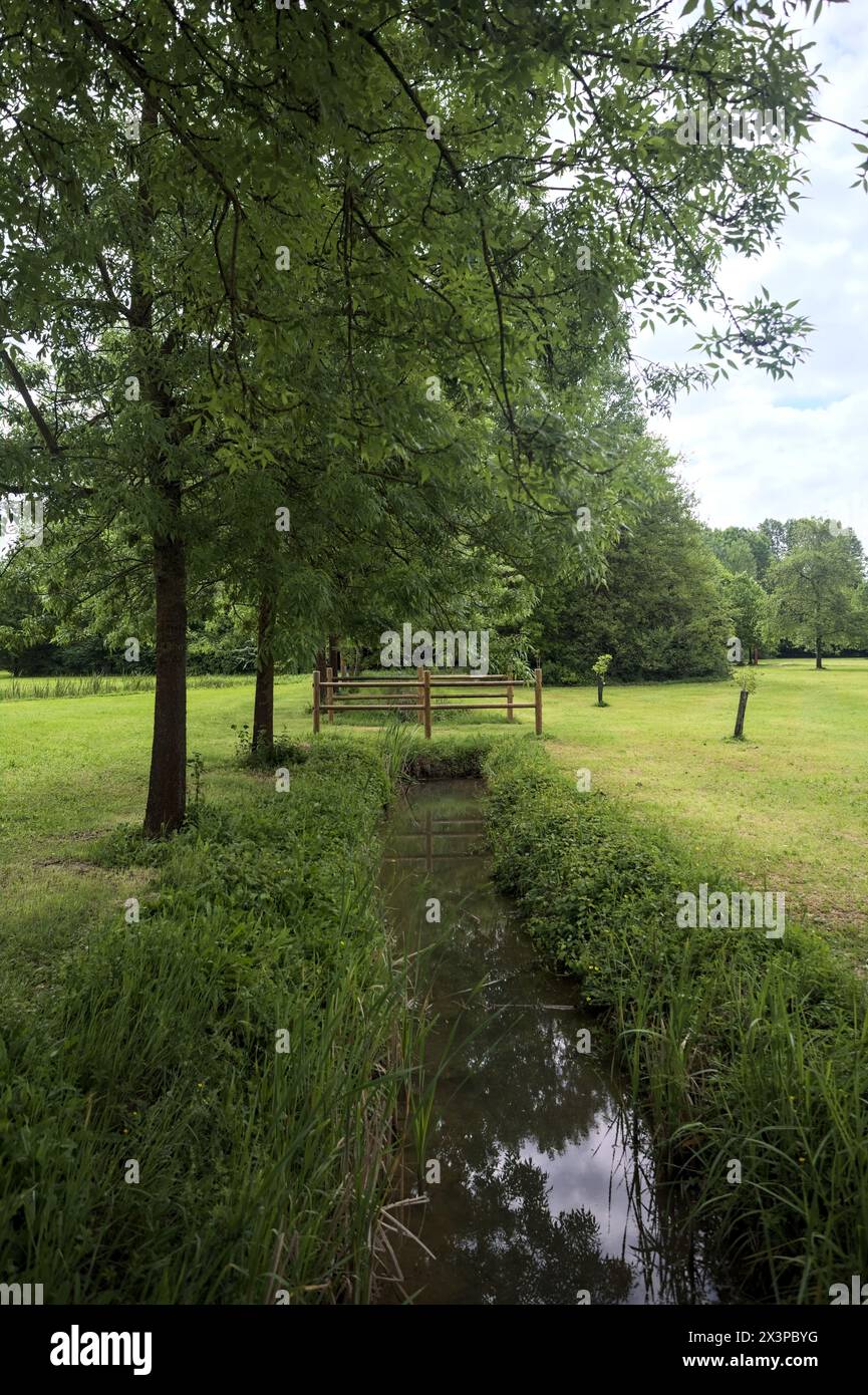 Trench with water bordered by trees between lawns in a park in the ...