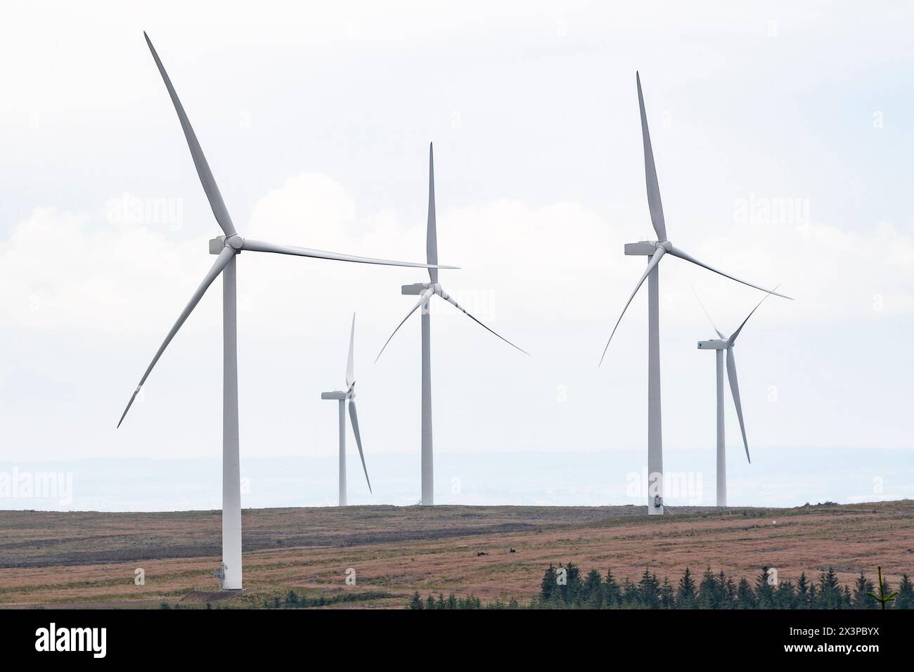Wind Farm, new turbine extension at Kype Muir wind farm Stock Photo - Alamy