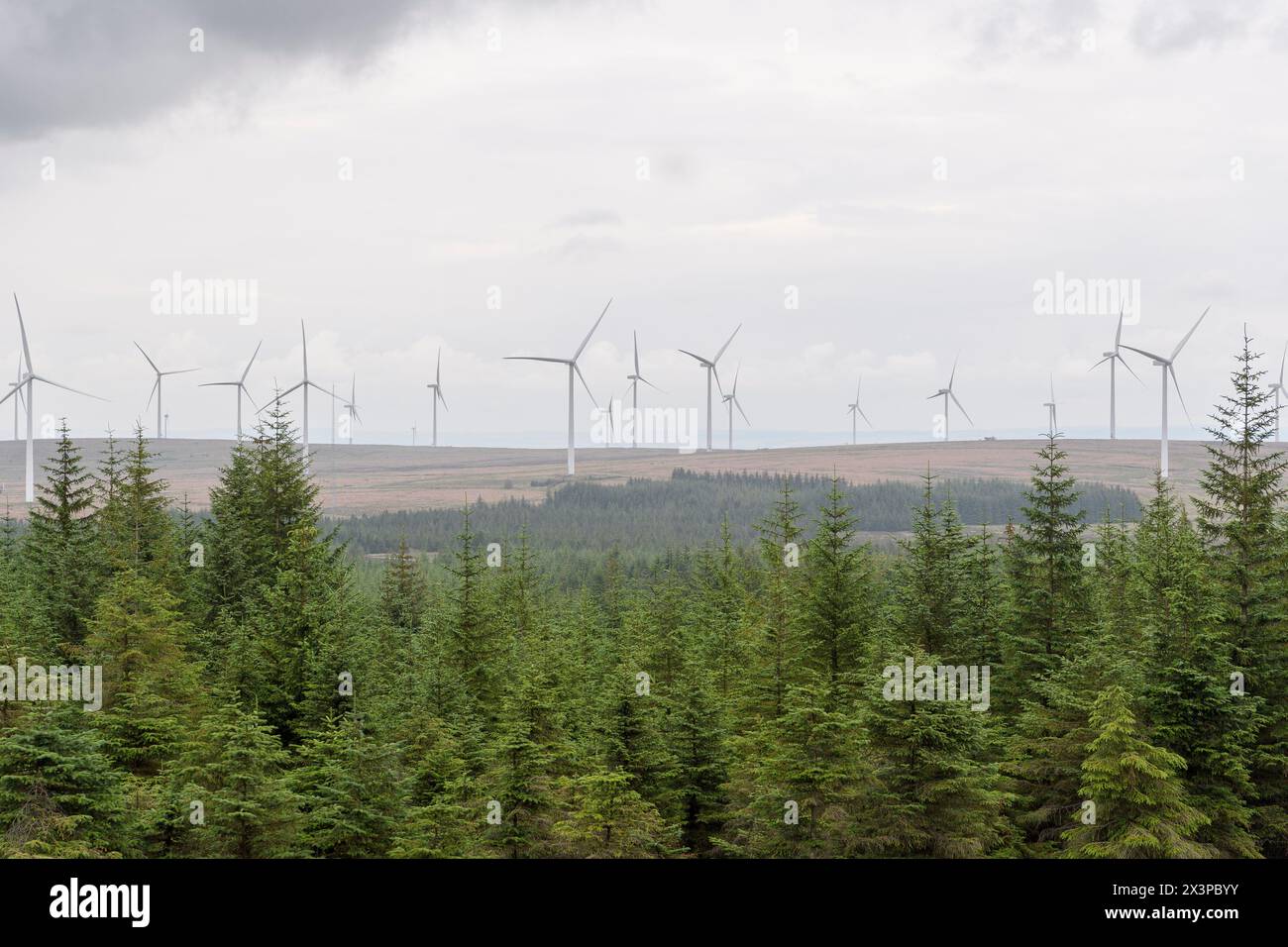 Wind Farm, new turbine extension at Kype Muir wind farm Stock Photo - Alamy