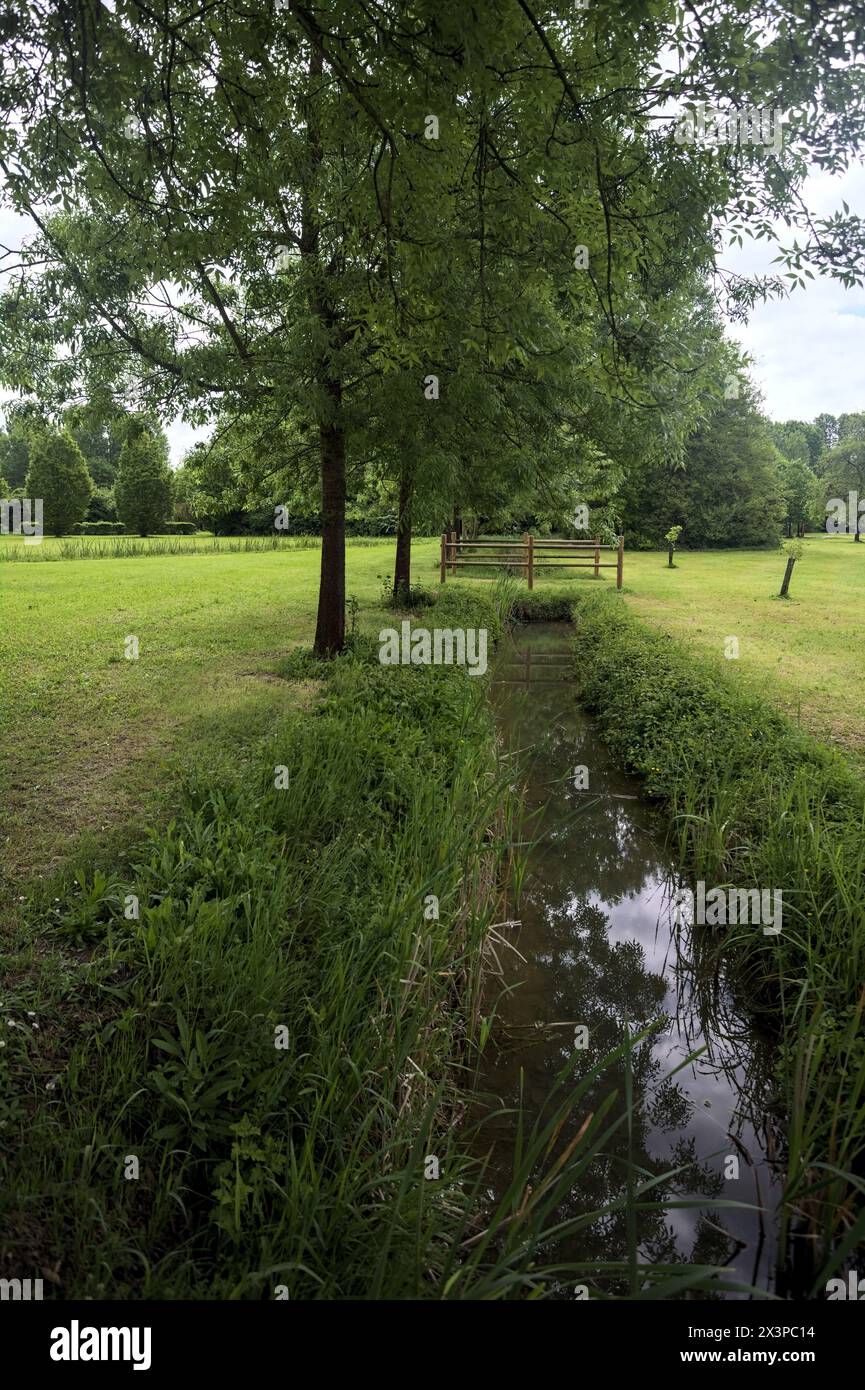 Trench with water bordered by trees between lawns in a park in the ...