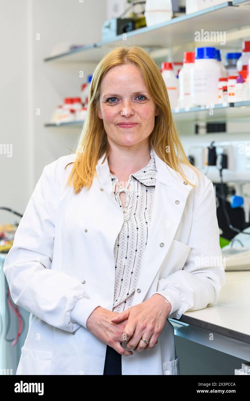 Case studies hi-res stock photography and images - Alamy