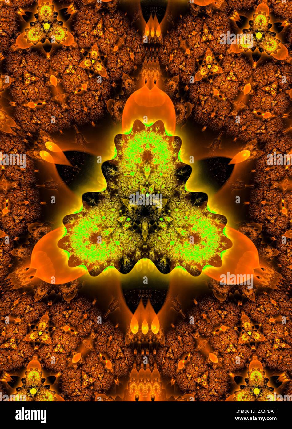 Dark Canvas: A Creative Exploration of Black Backgrounds in Photography ...