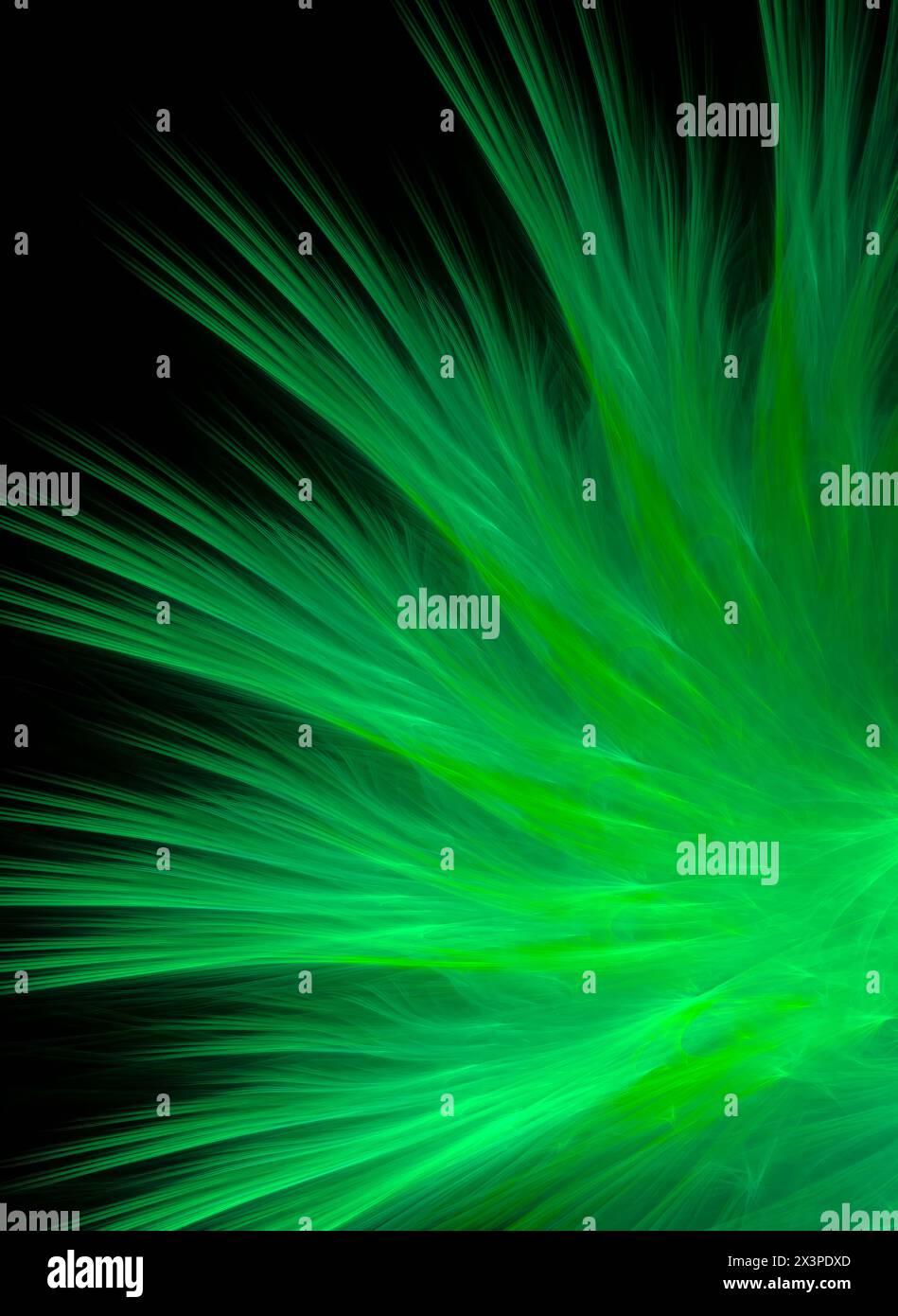 Creative Abstract Backdrops: A Photographer's Guide to Captivating ...