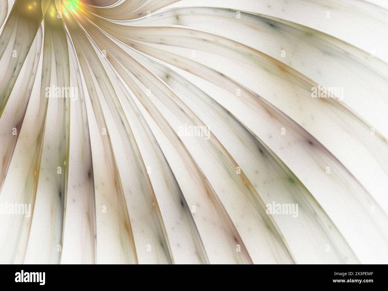 Contemporary Abstract Backdrops: Innovative and Creative Visuals for ...