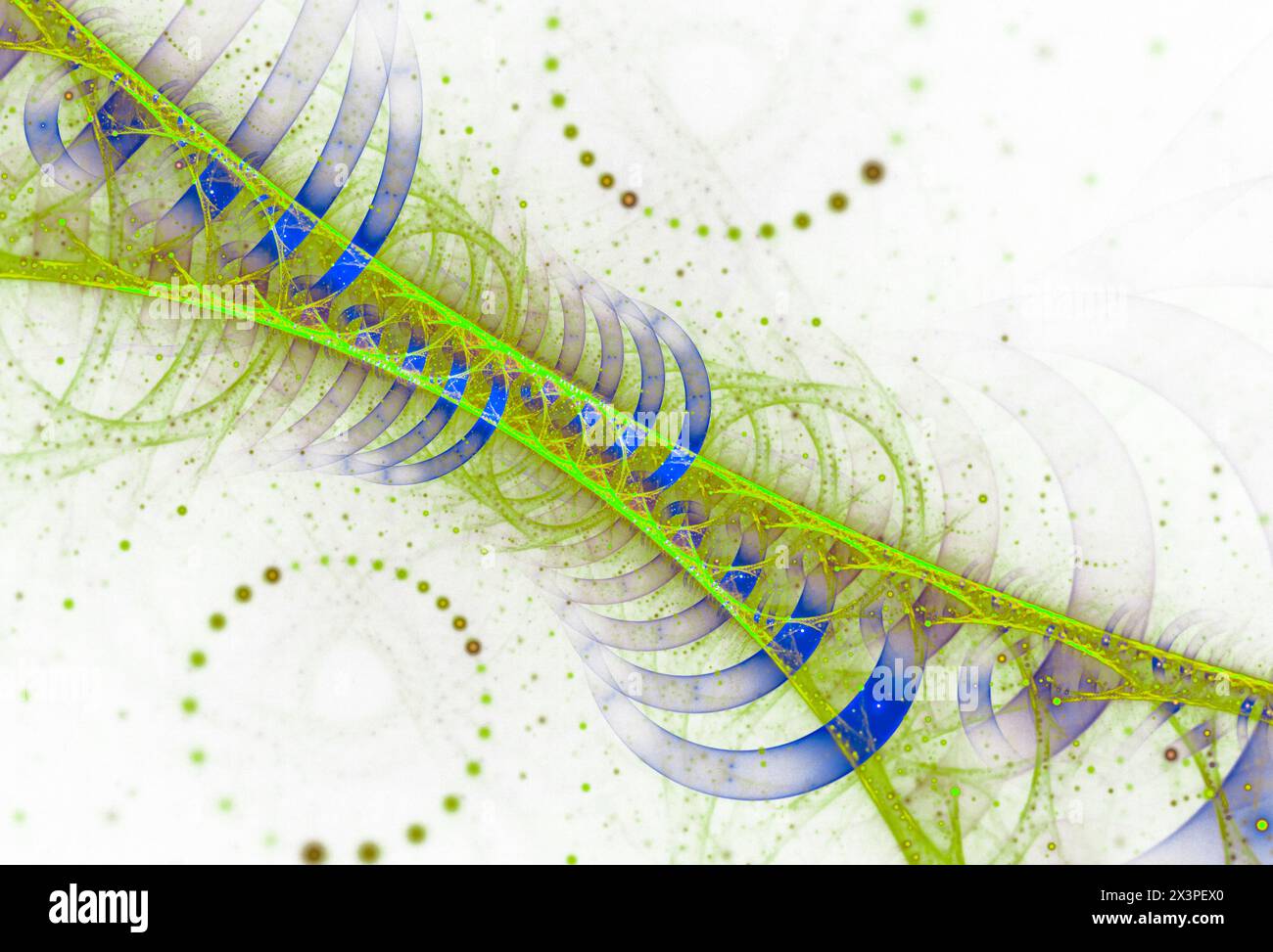 Contemporary Abstract Backdrops: Innovative Visuals for Creative ...