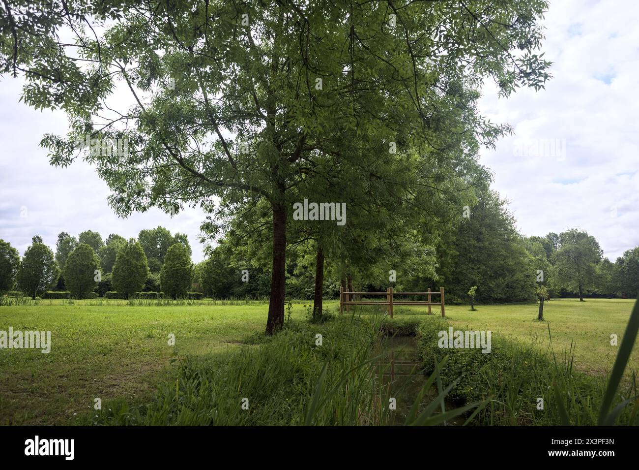Trench with water bordered by trees between lawns in a park in the ...