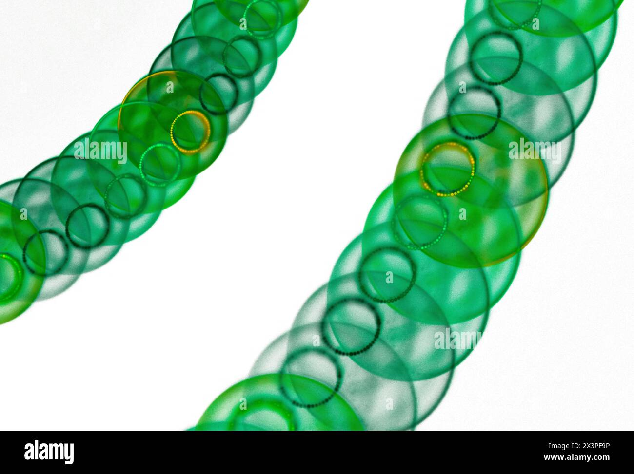 Contemporary Abstract Backdrops: A Creative Twist on Modern Backgrounds ...