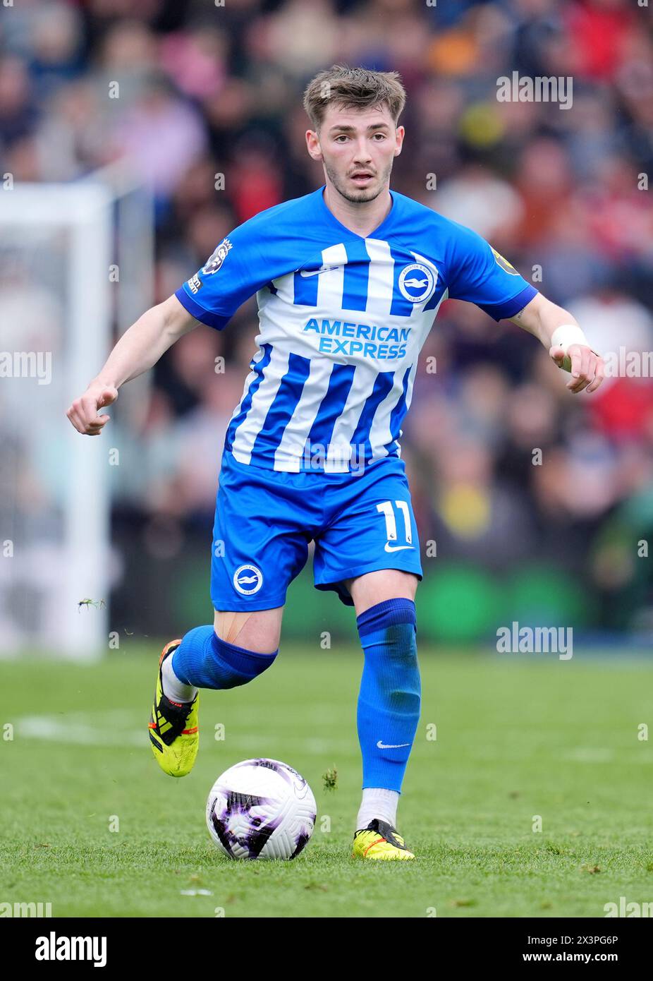 Brighton and Hove Albion's Billy Gilmour in action during the Premier ...