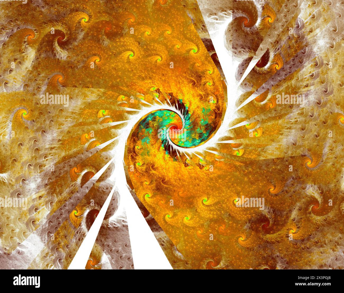 Contemporary Abstract Backdrops: A Creative Photographer's Guide to ...