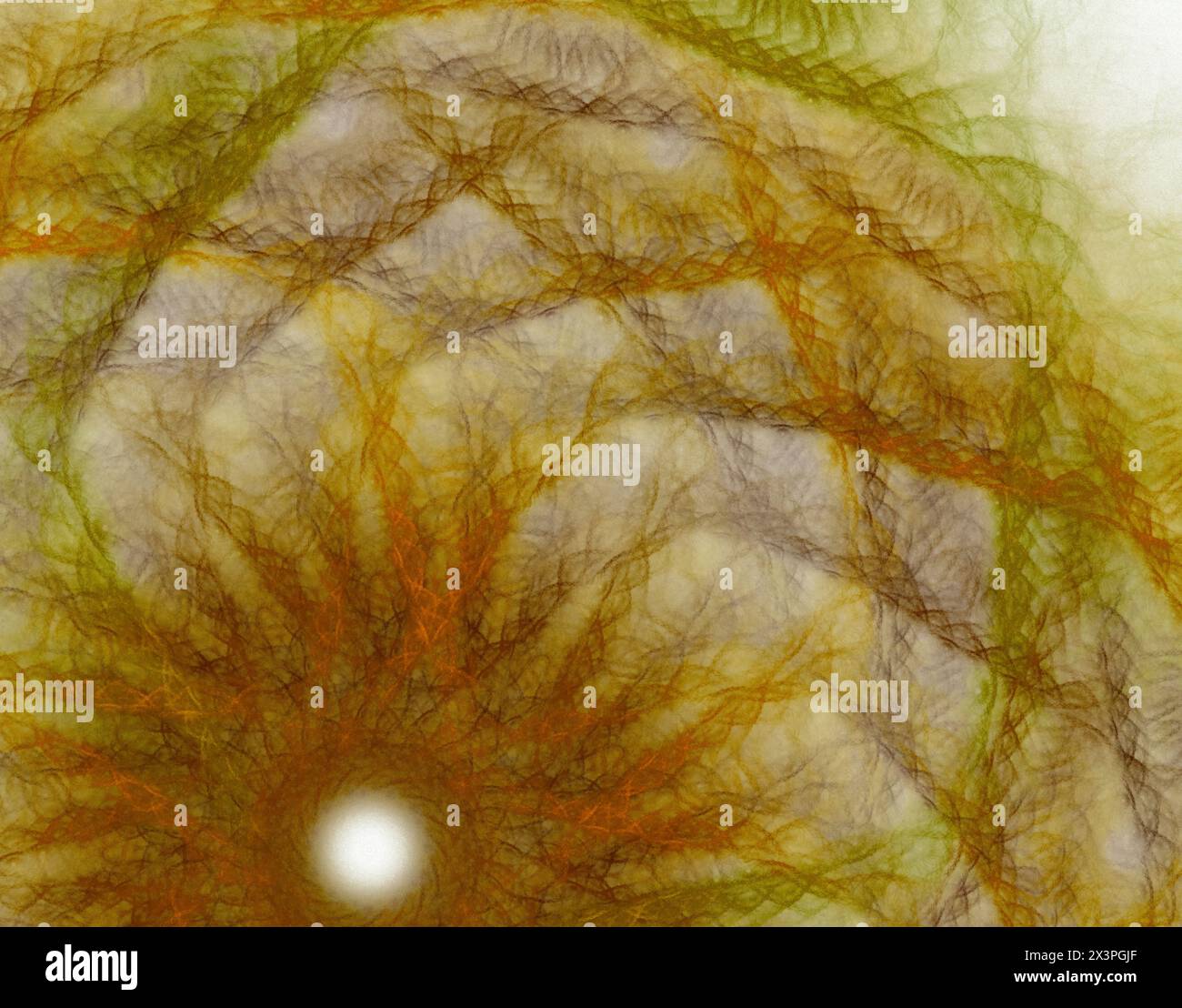 Contemporary Abstract Backdrops: A Creative Exploration of Modern ...