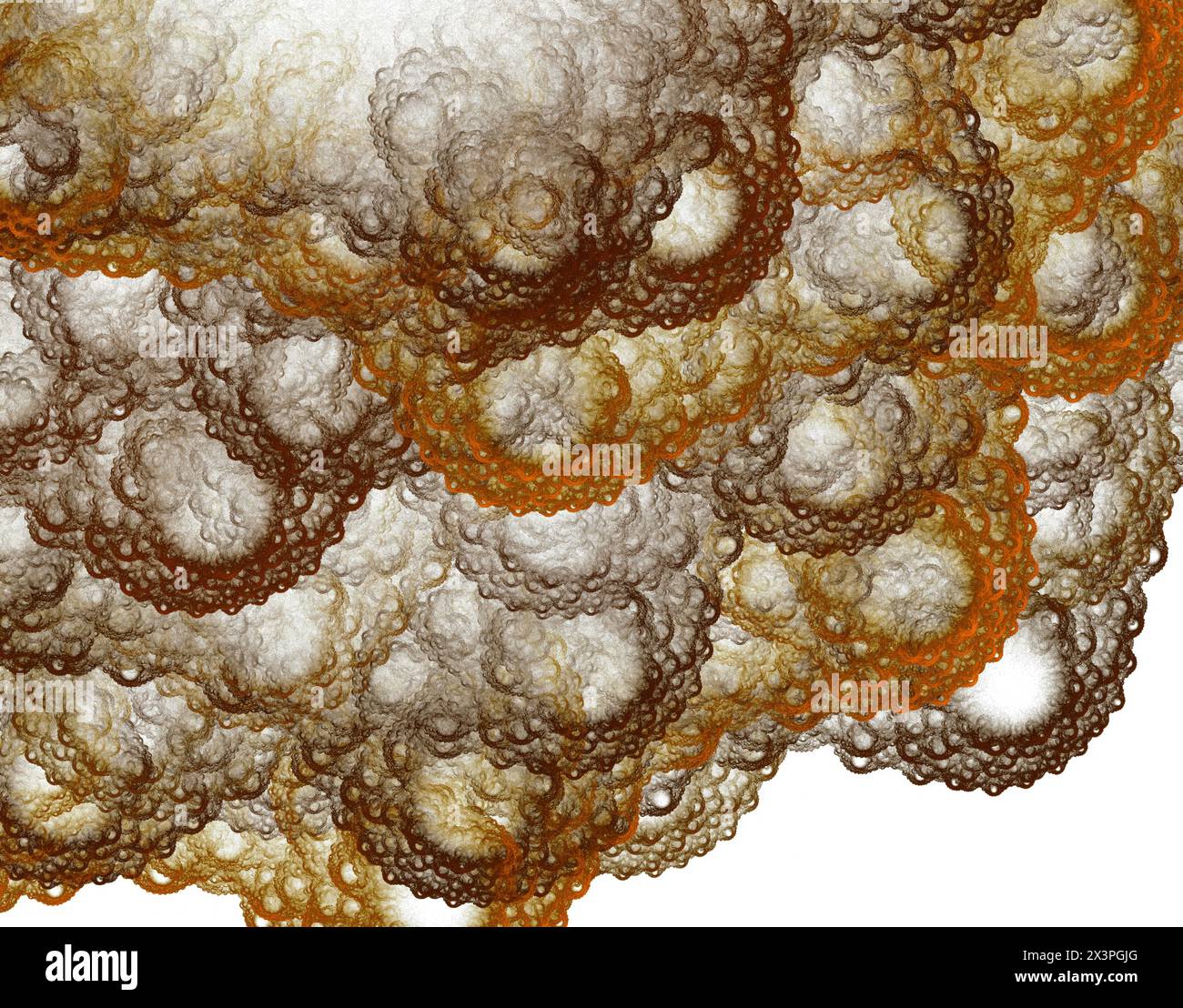 Contemporary Abstract Backdrops: Innovative Visuals for Creative ...