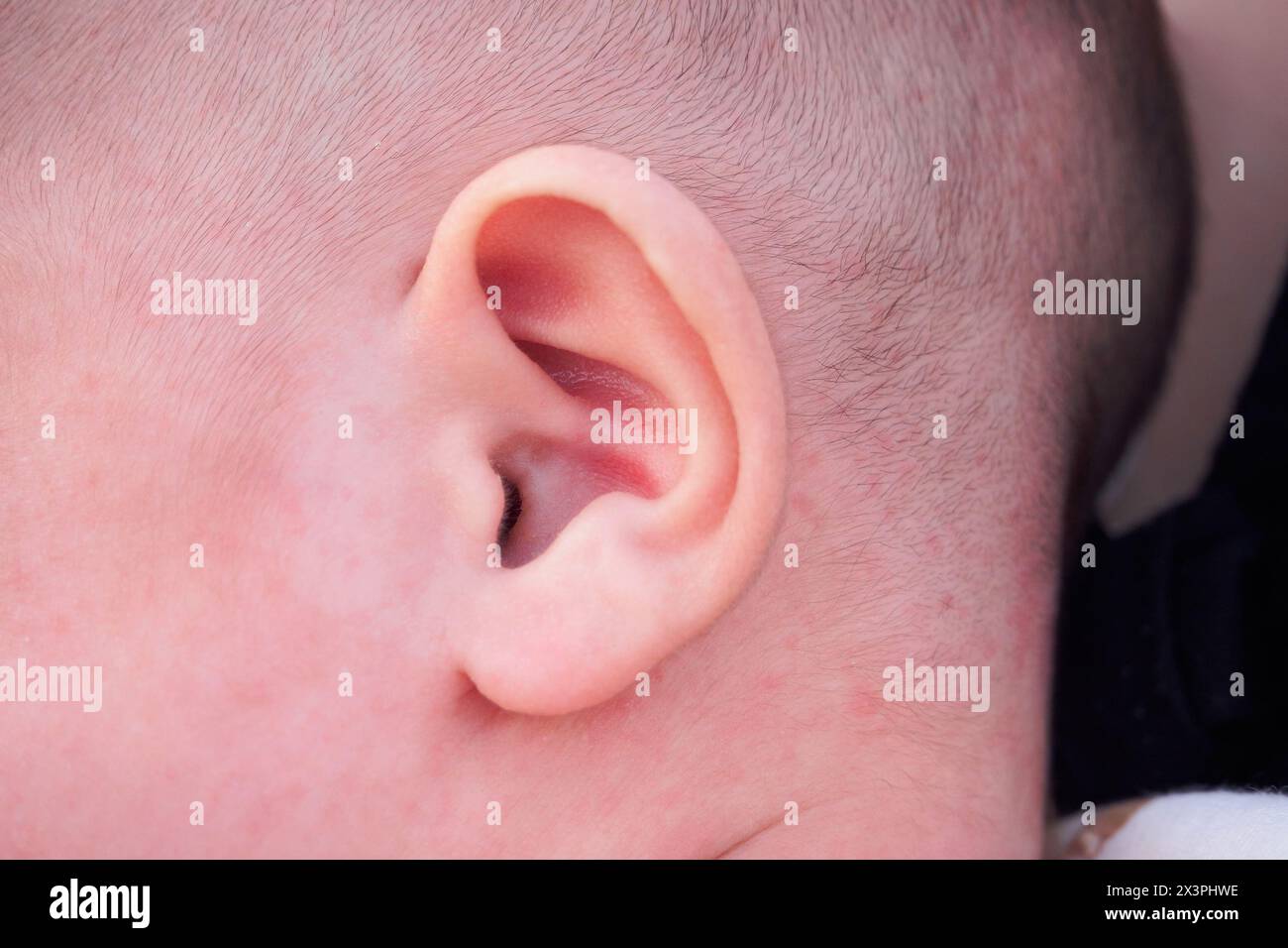 newborn baby ear close up Stock Photo - Alamy