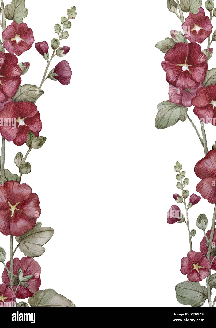 Red mallows watercolor background. Garden flowers are drawn by hand ...