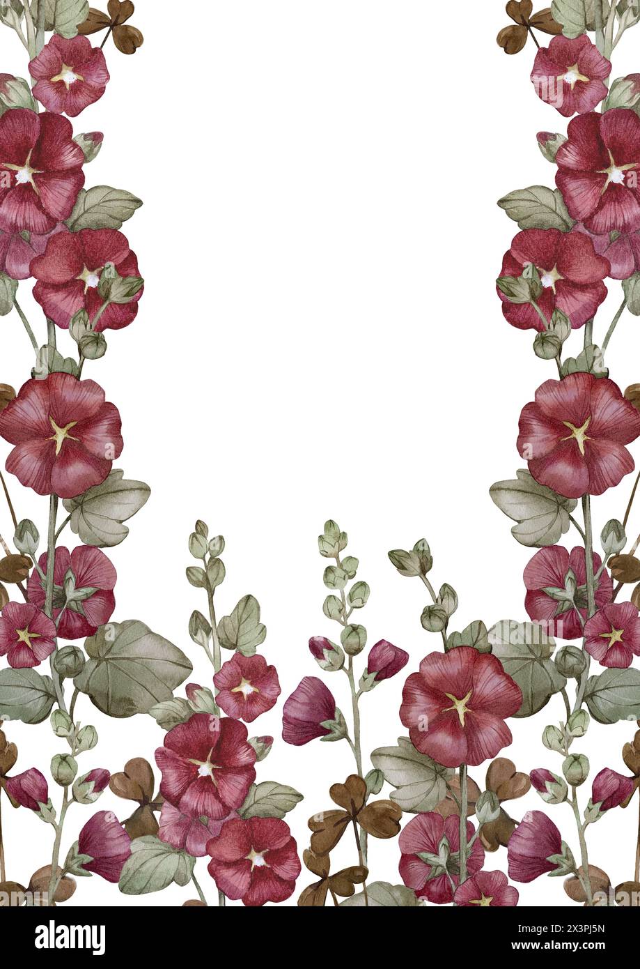 Red mallows watercolor background. Garden flowers are drawn by hand ...