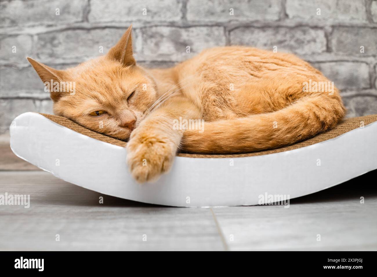 red cat lies on a scratching post. cardboard scratching post for cat ...