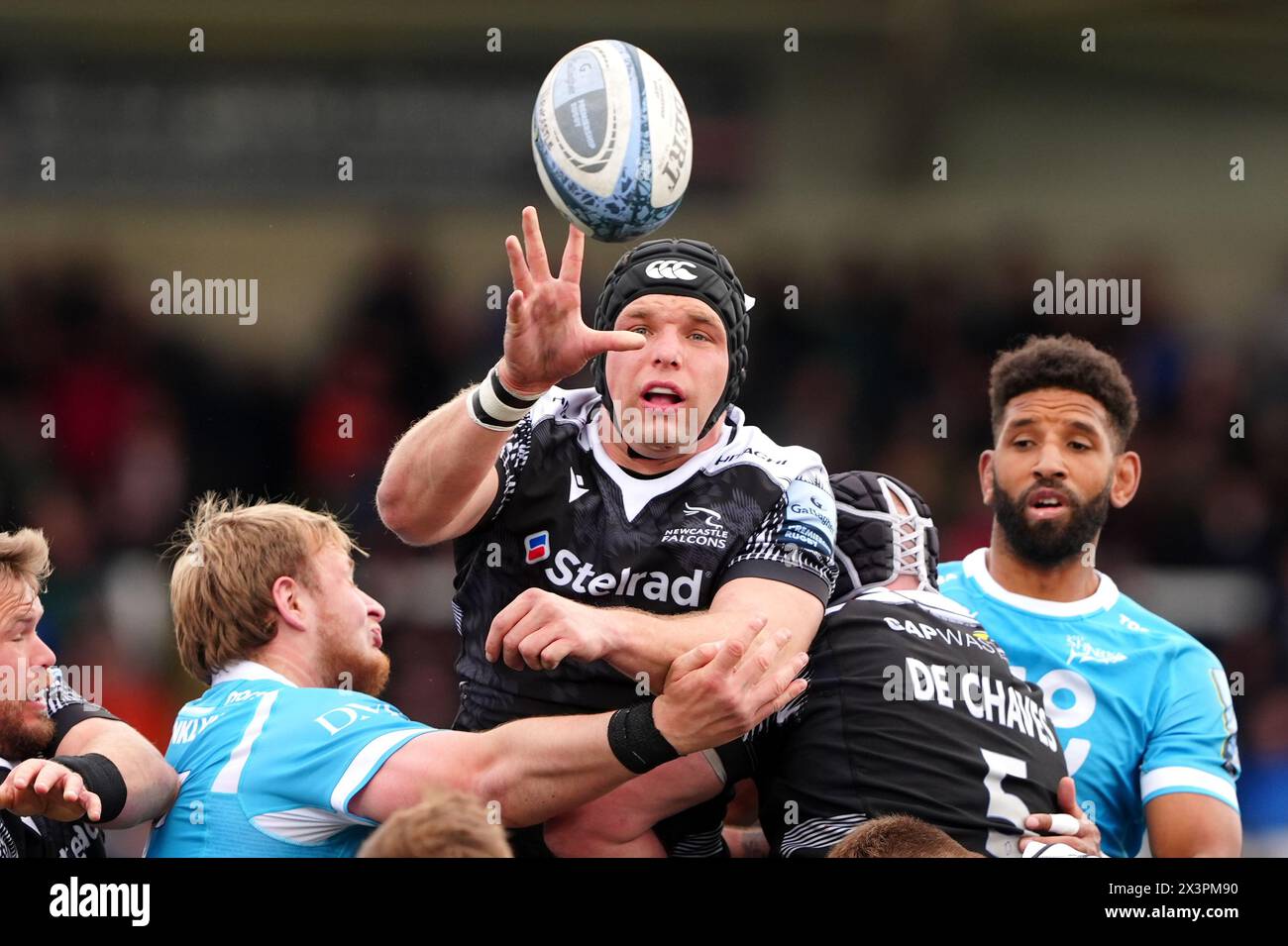 Newcastle Falcons' Tim Cardall (centre) attempts to claim the ball ...