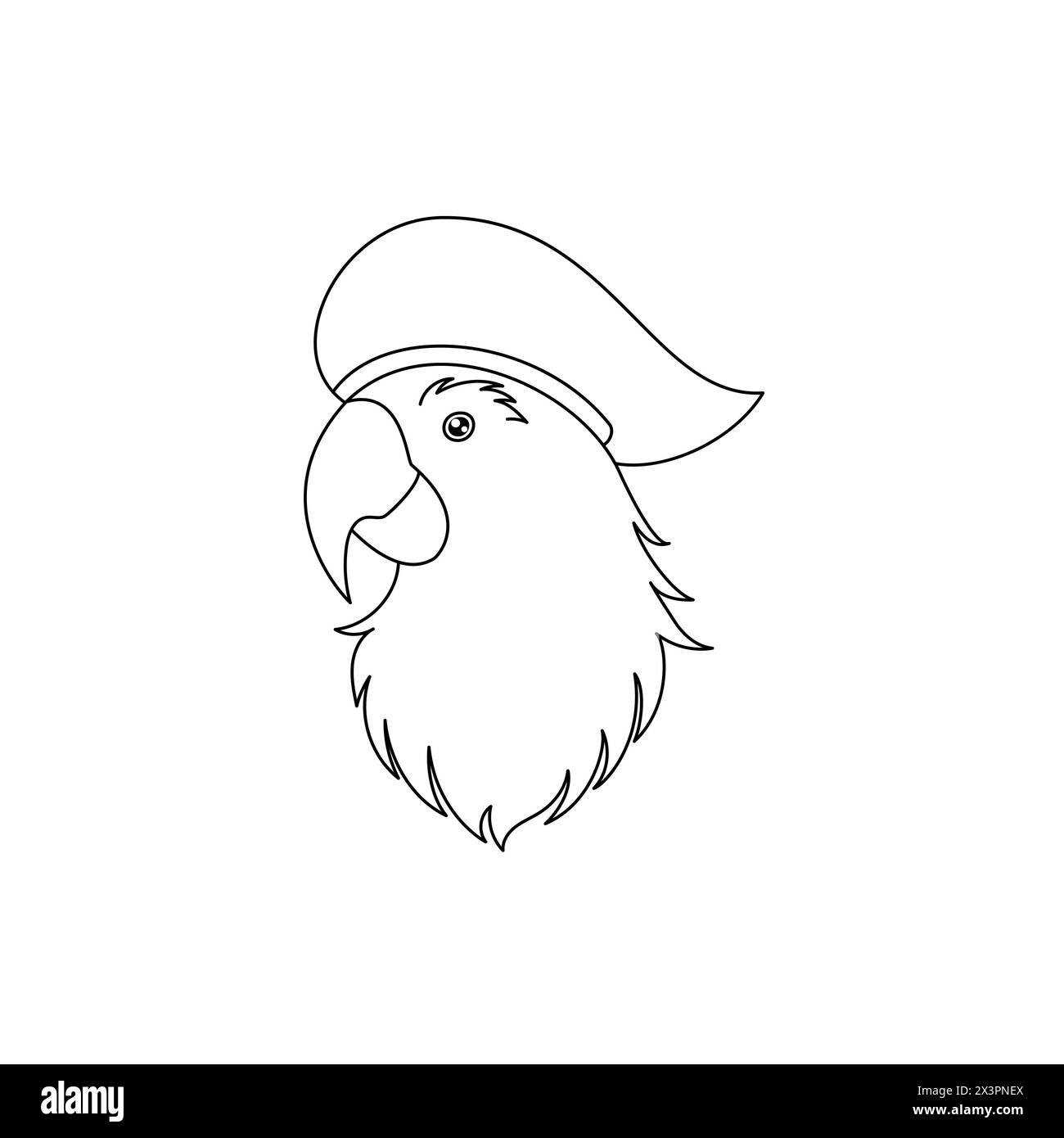 Pirate bird Black and White Stock Photos & Images - Alamy