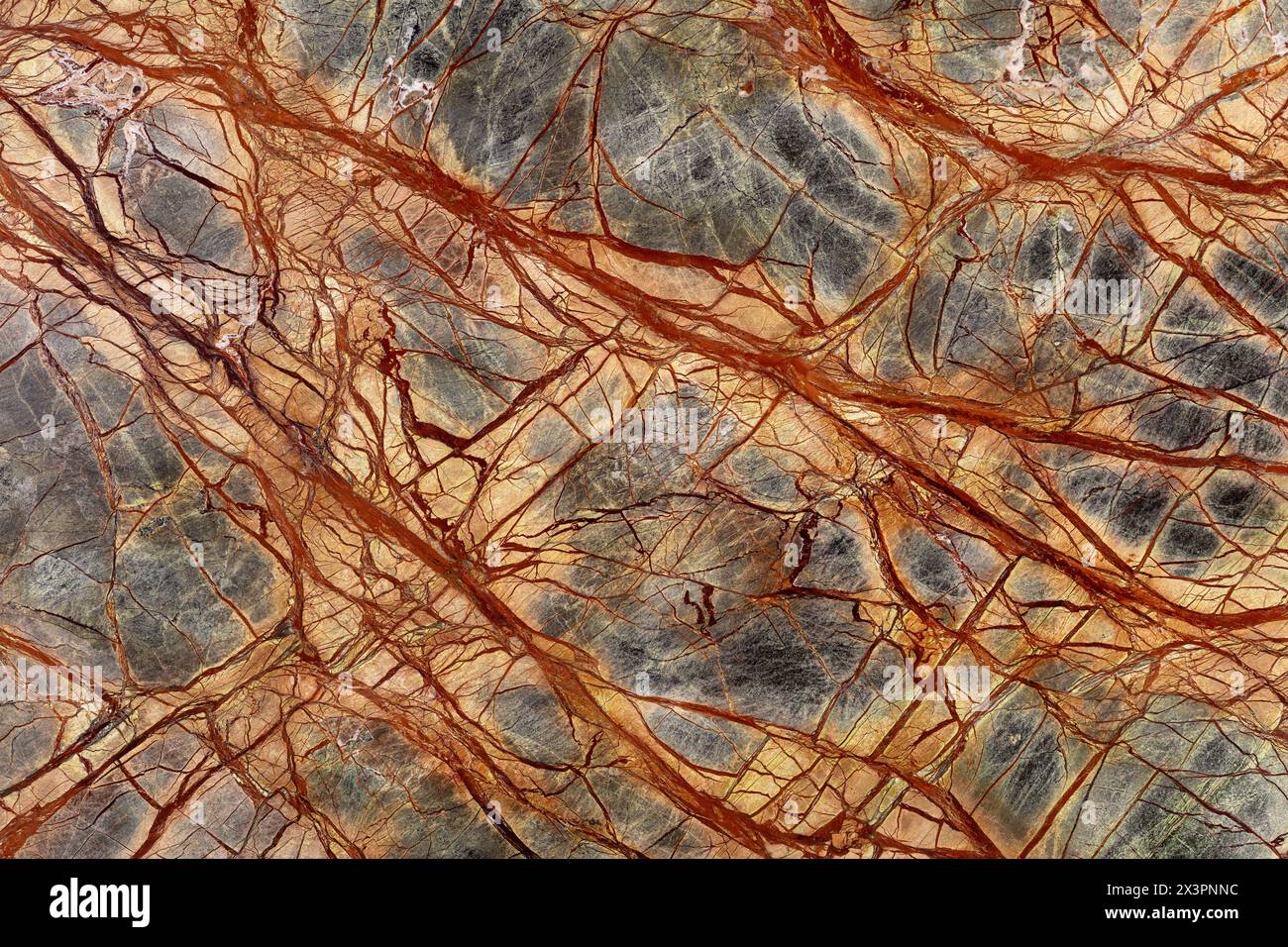 Rainforest Green Extra - polished natural marble stone slab Stock Photo ...