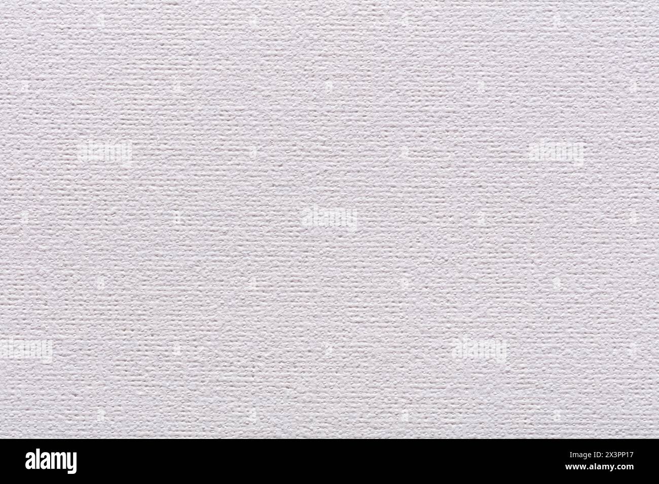 Cotton canvas texture in elegant white for creative work Stock Photo ...