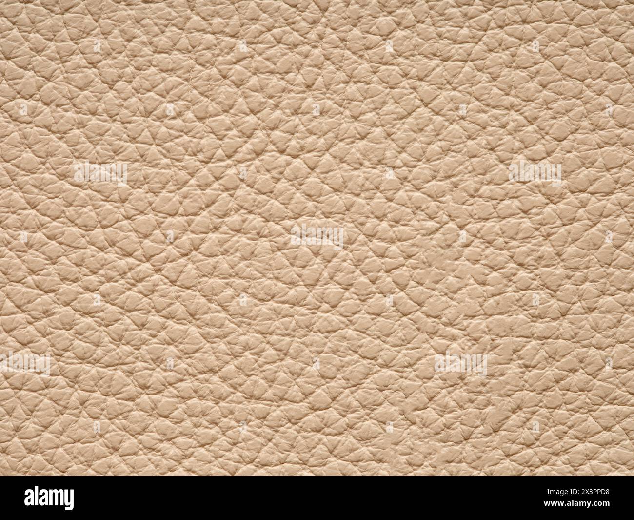 The ecru color beige leather sample. Background with copy space Stock ...