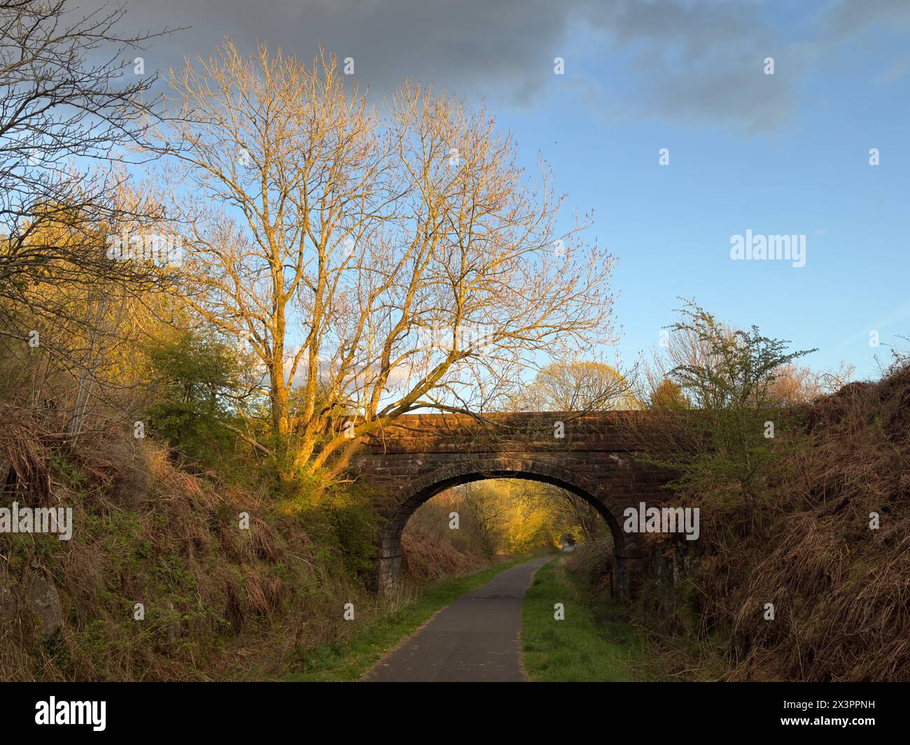 Cycle and walk path in countryside built on old railway line Stock ...