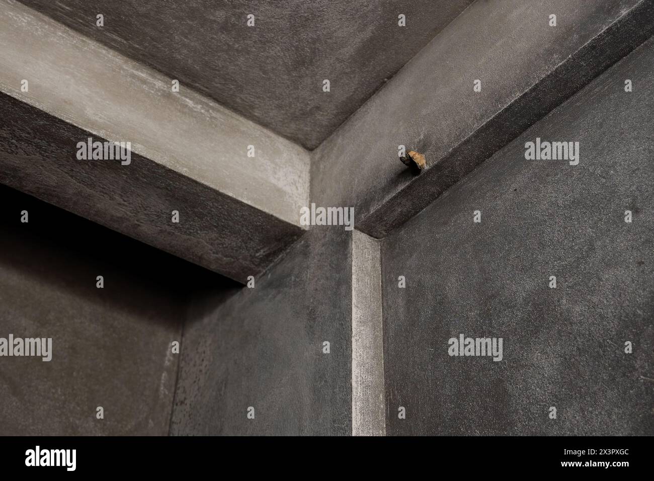Corner of the room of newly constructed home in which Two beams and one ...