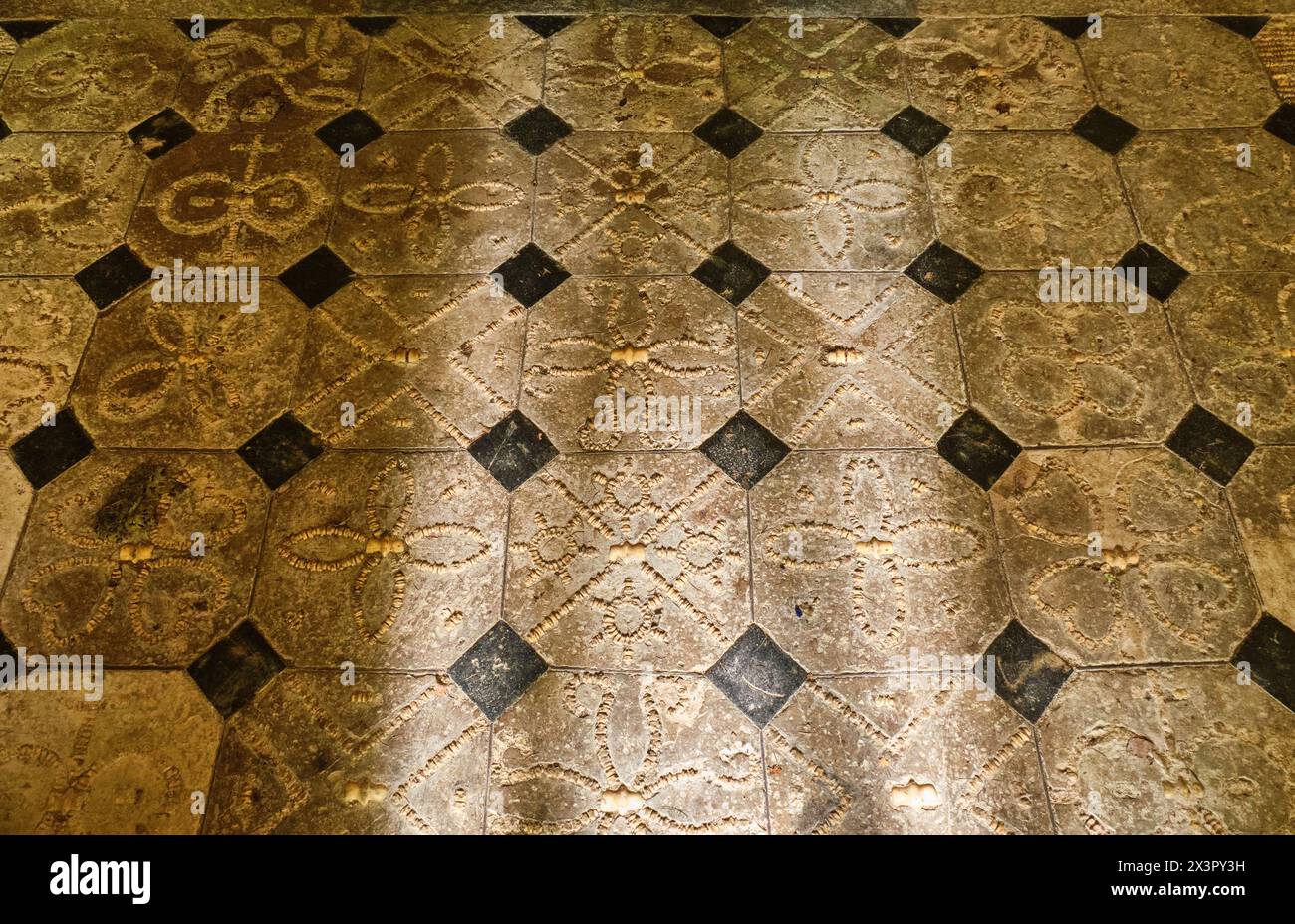 The floor of the Shell House Grotto at Cilwendeg, Boncath ...