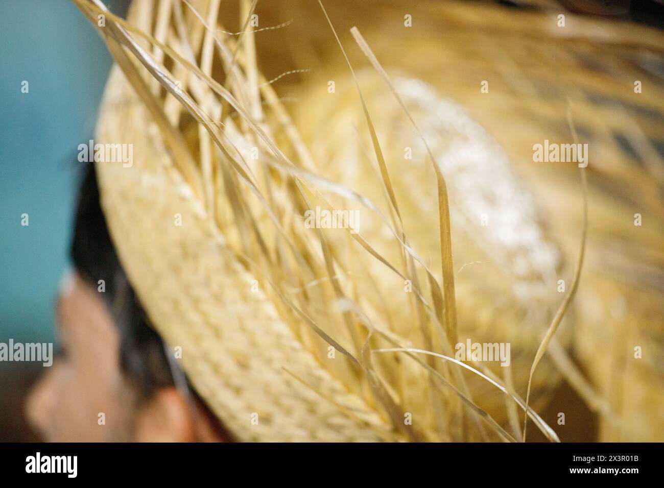 Festival in rio hi-res stock photography and images - Alamy