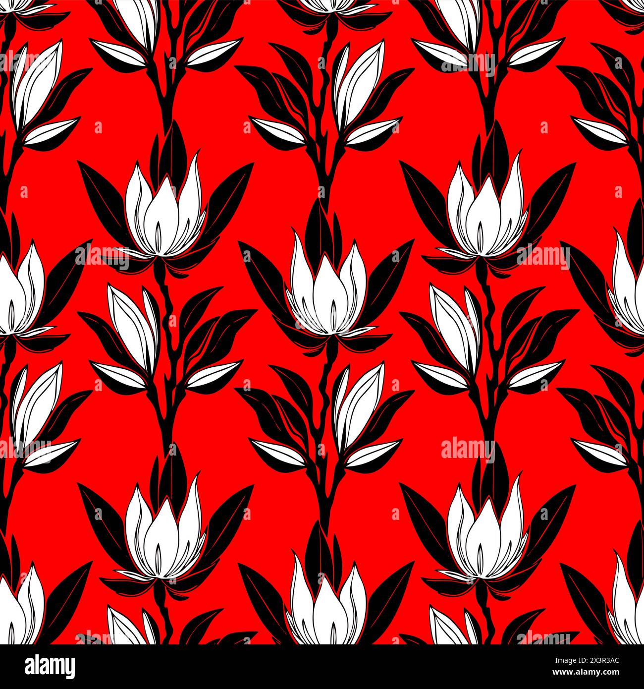 Delicate contour Cut Out Stock Images & Pictures - Alamy