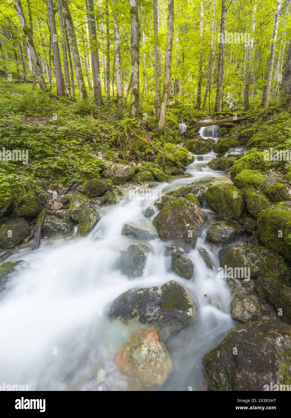 Beautiful view of Rothbach Waterfall near Konigssee lake in ...