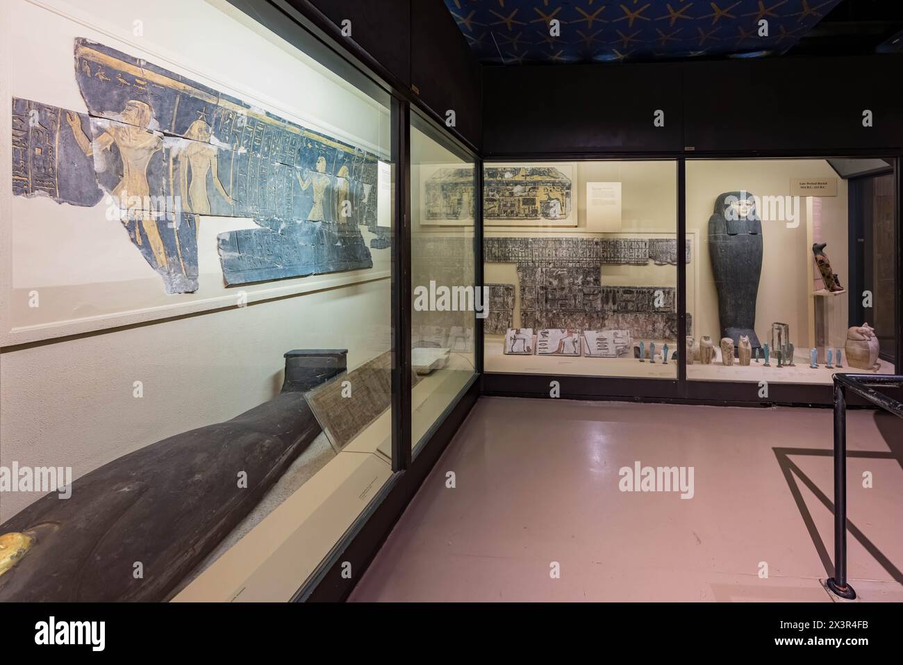 Chicago, OCT 4 2023 - Interior view of the Field Museum Stock Photo - Alamy