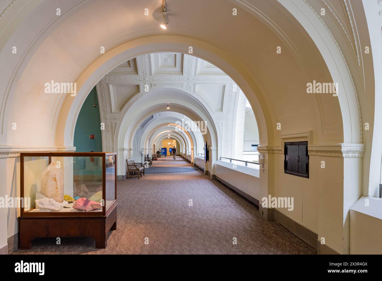 Chicago, OCT 4 2023 - Interior view of the Field Museum Stock Photo - Alamy
