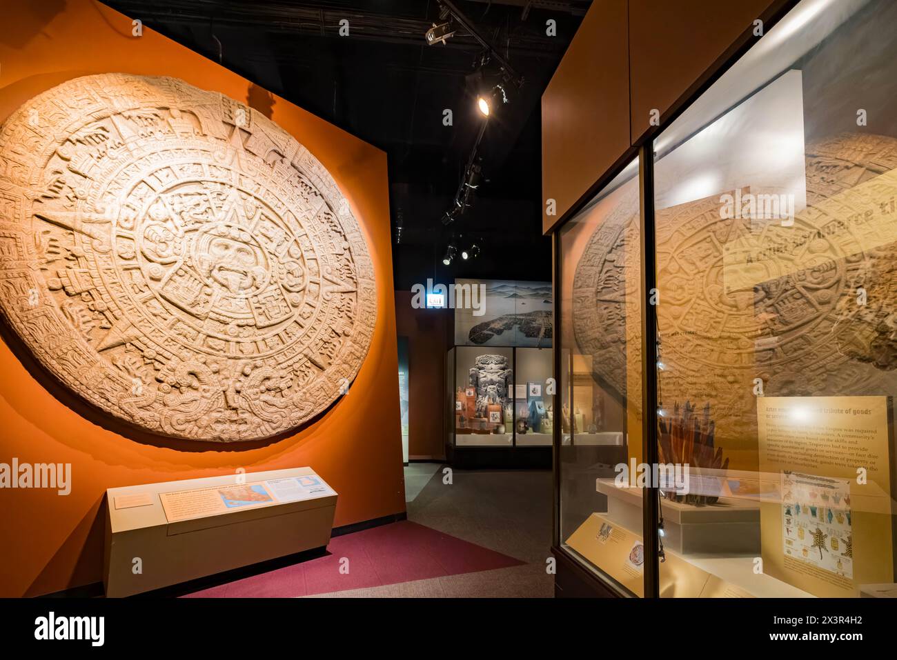 Chicago, OCT 4 2023 - Interior view of the Field Museum Stock Photo - Alamy