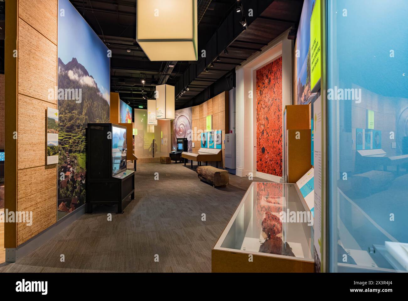 Chicago, OCT 4 2023 - Interior view of the Field Museum Stock Photo - Alamy