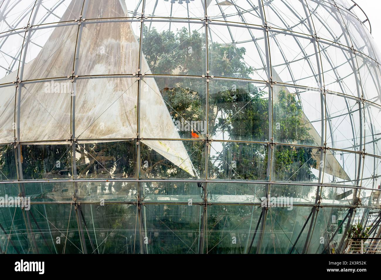 Aquarium of Genova. Large oceanarium near the port: aquariums with a ...