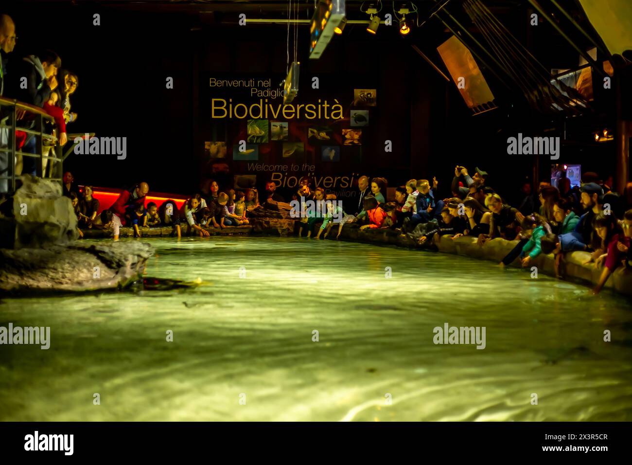 Aquarium of Genova. Large oceanarium near the port: aquariums with a ...