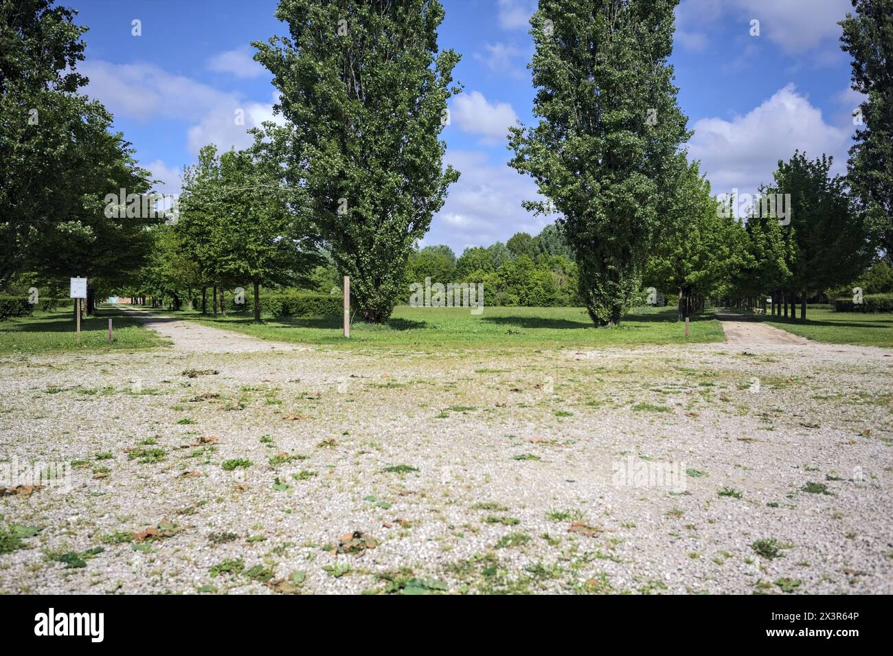 Gravel clearing bordered by poplars with parting paths in a park in the ...