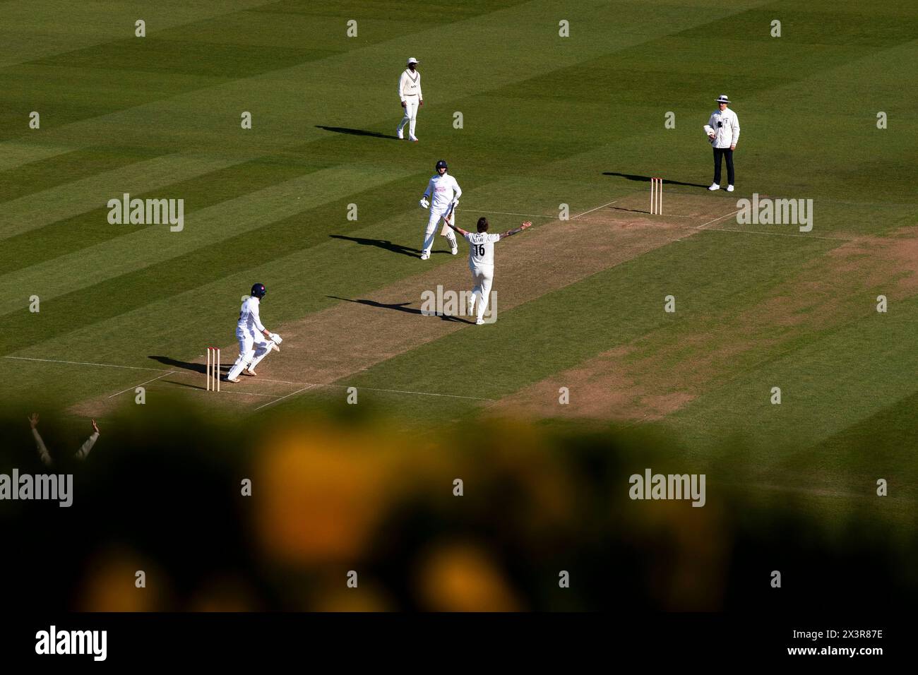 London, England, 28th April 2024. Surrey’s Jordan Clark appeals against ...