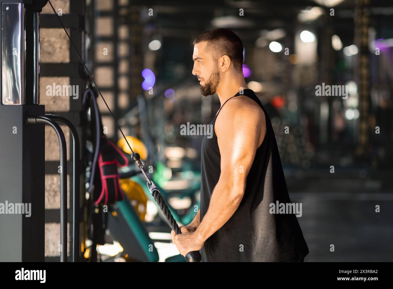 Ripped biceps hi-res stock photography and images - Alamy