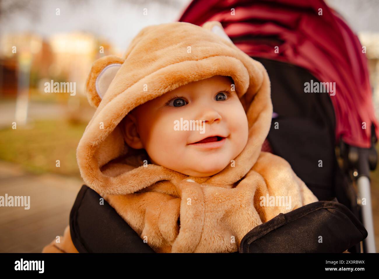 Child in Bear Costume Riding Stroller Stock Photo - Alamy